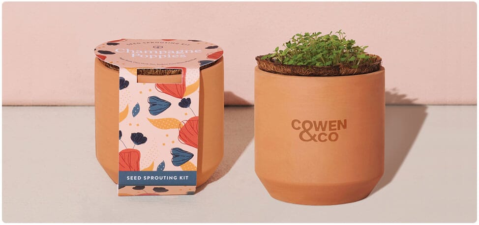 9 Eco-Friendly and Sustainable Corporate Gift Ideas for Employees ...