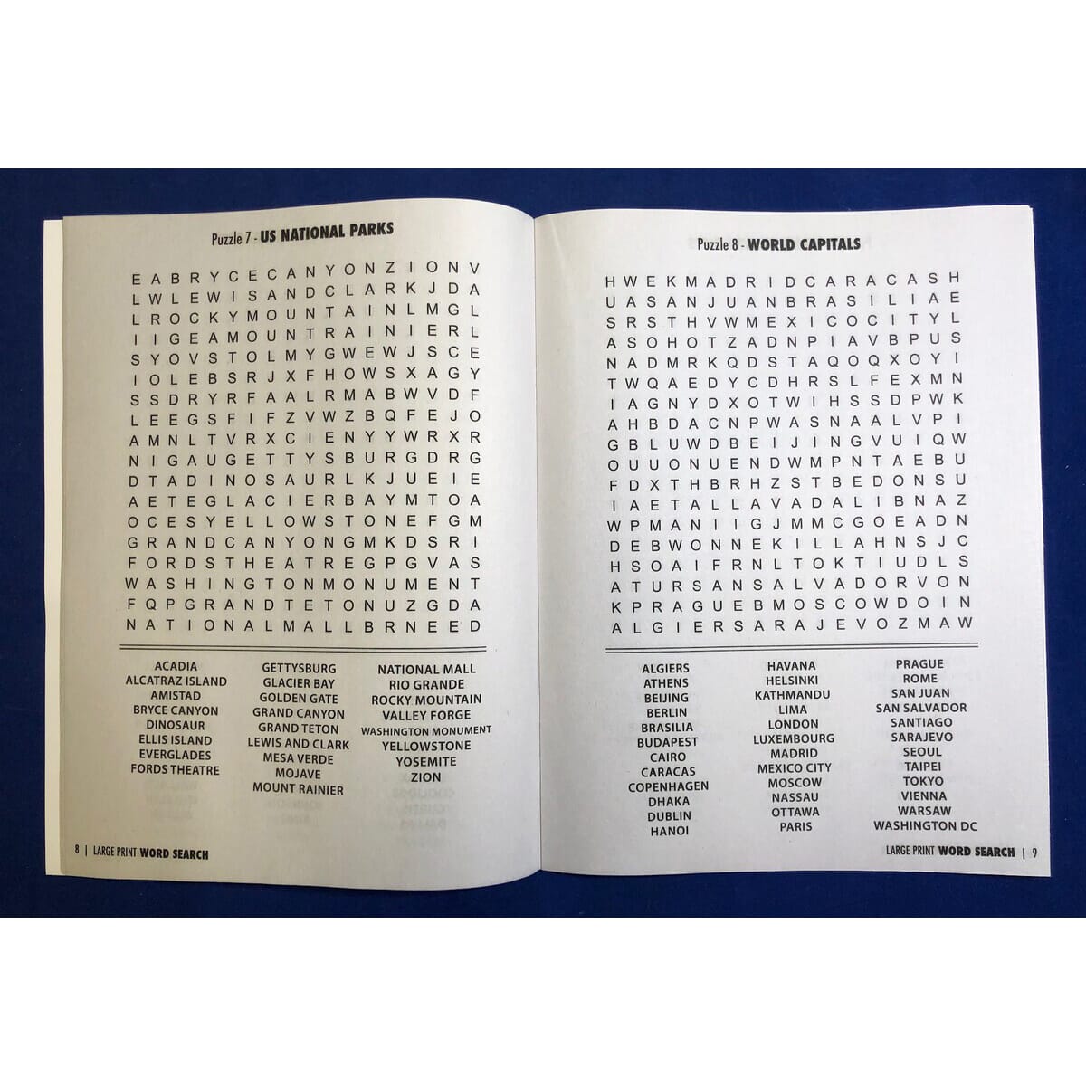 Large Print Word Search Puzzle Book- Volume 1 - Promotional Giveaway ...