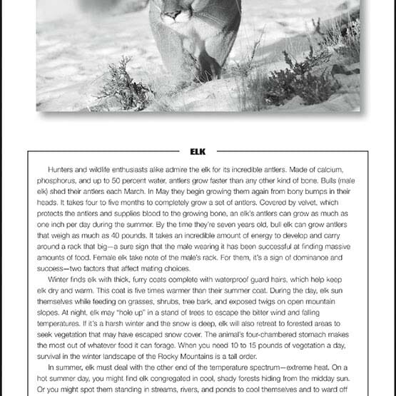 2025 Sportsman Calendar - Promotional Giveaway | Crestline