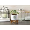 Ceramic Planter Set - Personalized Planter Sets | Crestline