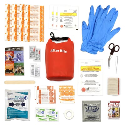 Gold First Aid Kit - Promotional Giveaway | Crestline