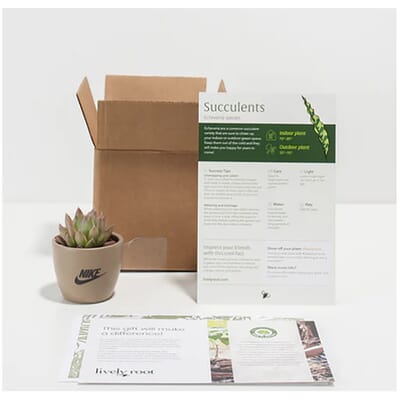 Lively Root Petite Succulent Plant - Promotional Giveaway | Crestline