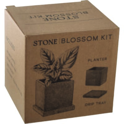 Stone Blossom Kit - Promotional Giveaway | Crestline